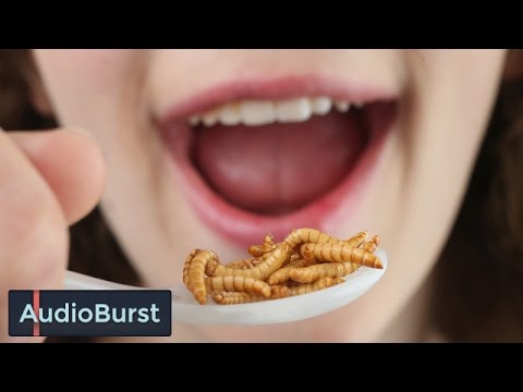 Are Insects Regulated By Fda