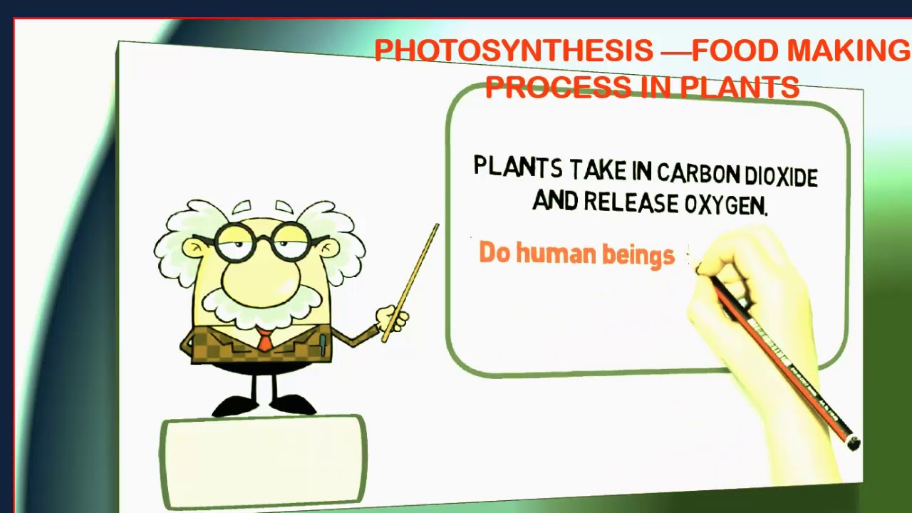 FOOD AND NUTRITION - YouTube