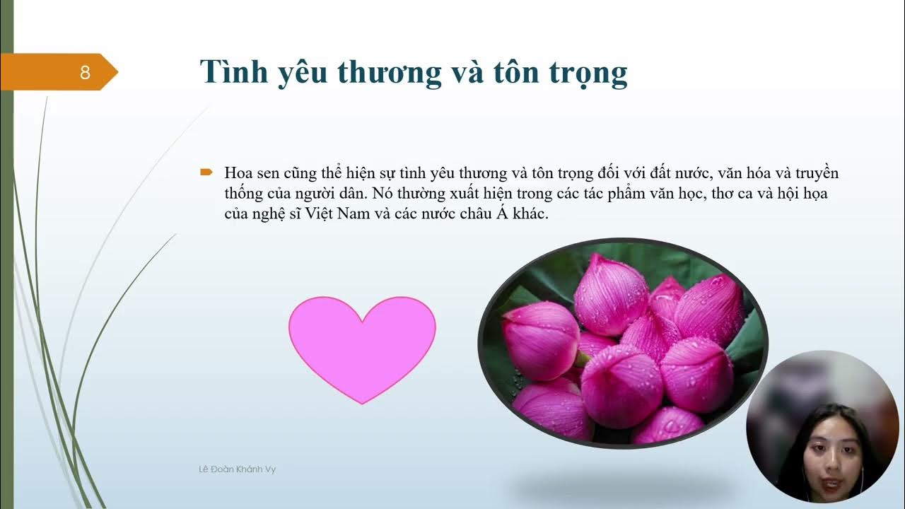 Powerpoint Slide Show 2472103020011 LÊ ĐoÀn KhÁnh Vy Hoa Sen 1 2024 11 17 21 20 07 Youtube