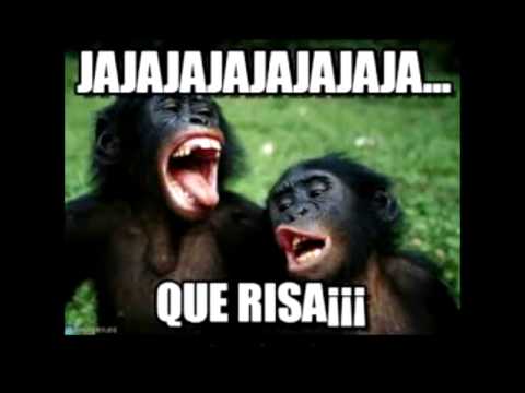 Imagenes de risa - YouTube