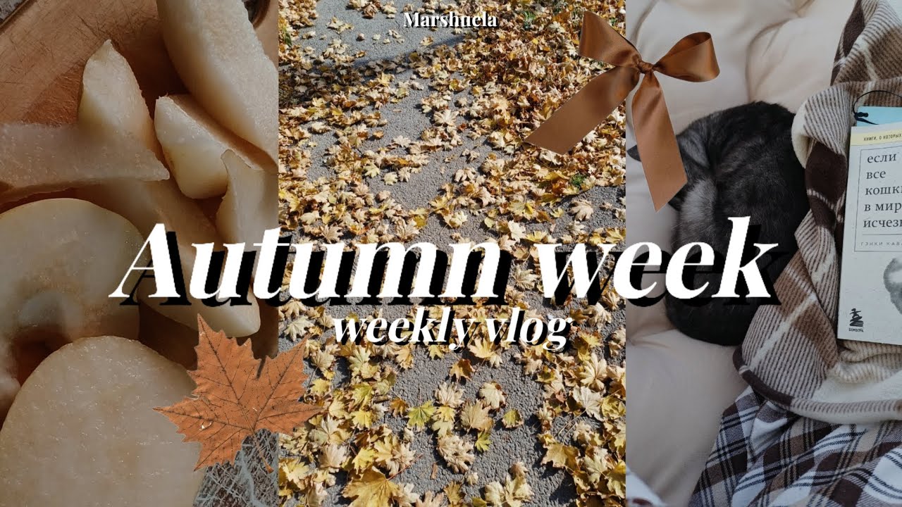 autumn week🕯/осенняя неделя(каникулы),недельный влог/•шарлотка,книги ...
