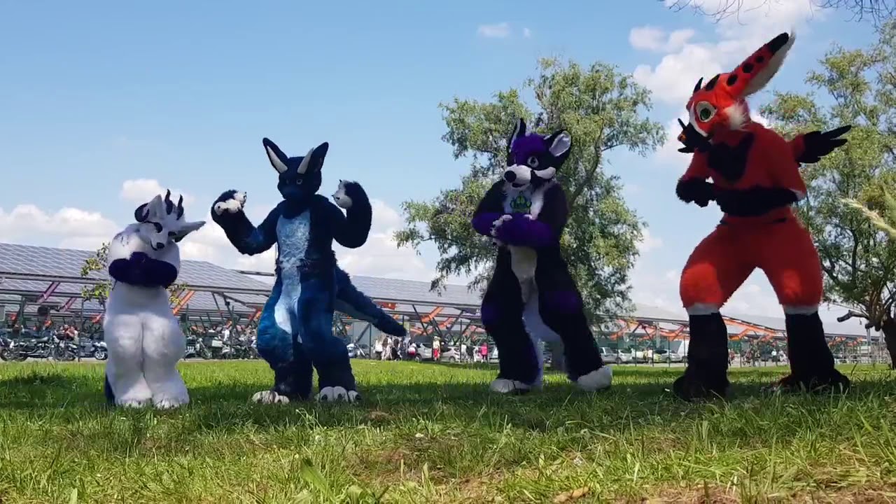 Fursuit Dance - YouTube
