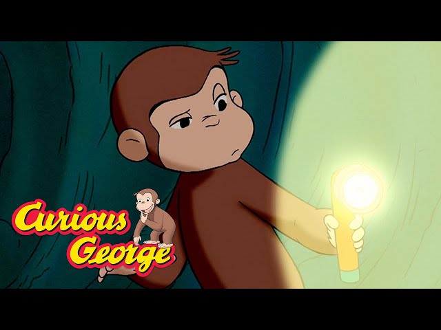 Curious George Cartoon Characters