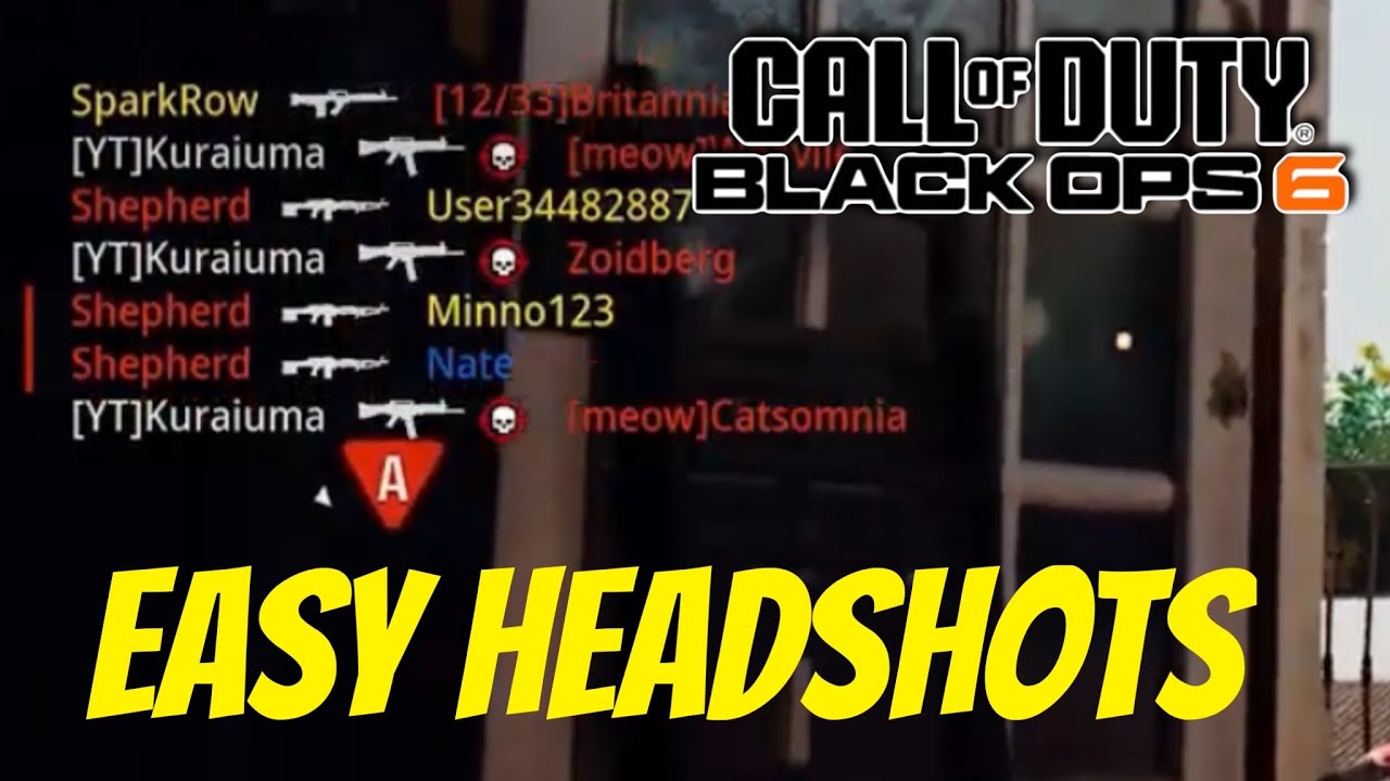 How to Get Easy Headshots on Stakeout Call of Duty Black Ops 6 - YouTube