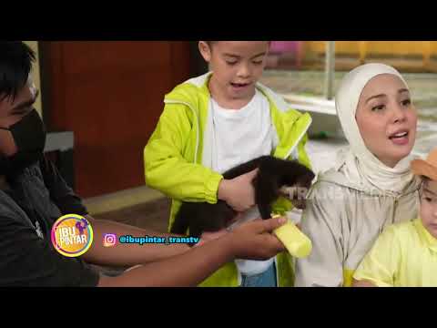 MARI KITA INTIP KESERUAN ANAK ANAK BERMAIN DENGAN MUSANG | IBU PINTAR (12/3/22) P2