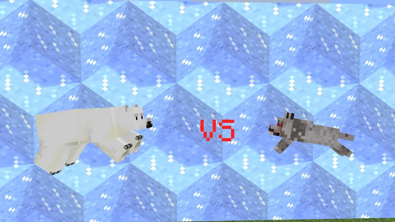 Minecraft Polar Bear vs Wolf - YouTube