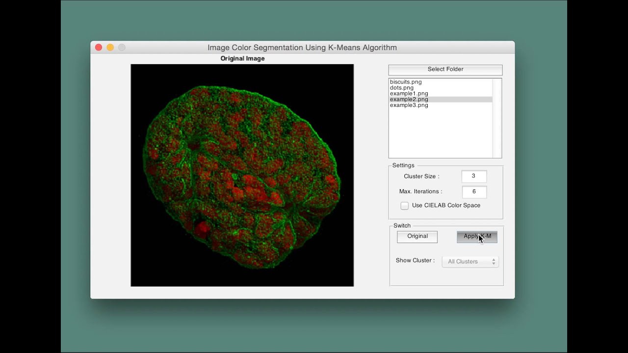 Matlab Image Segmentation Using K Means Algorithm Youtube