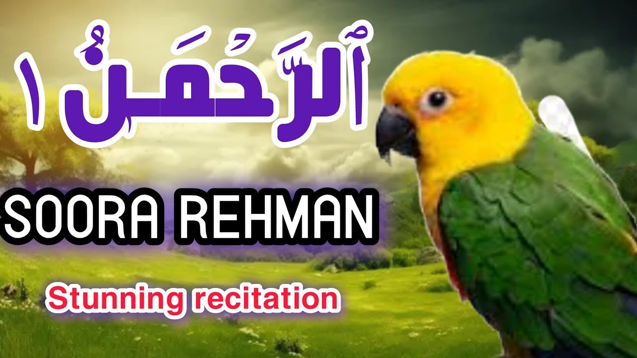 Beautiful recitation of Sura Rehman - YouTube