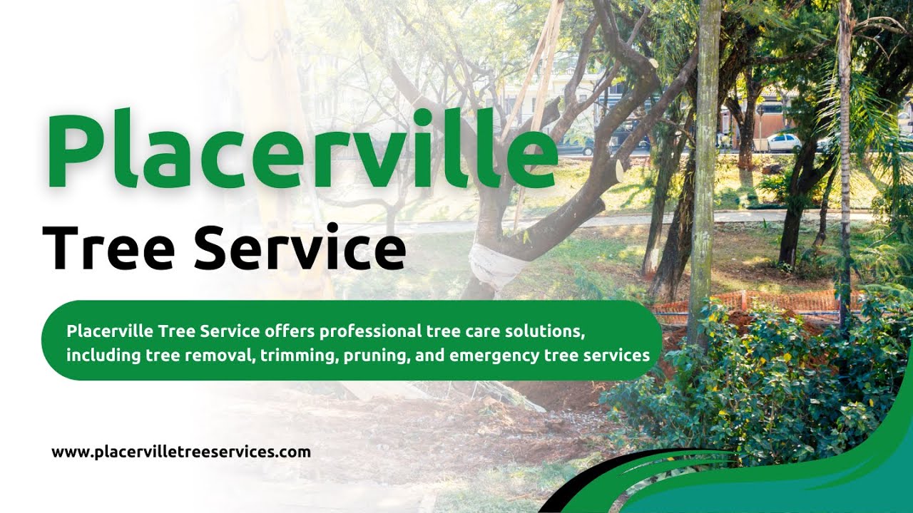 Placerville Tree Service - Tree Service Placerville | Tree Removal ...
