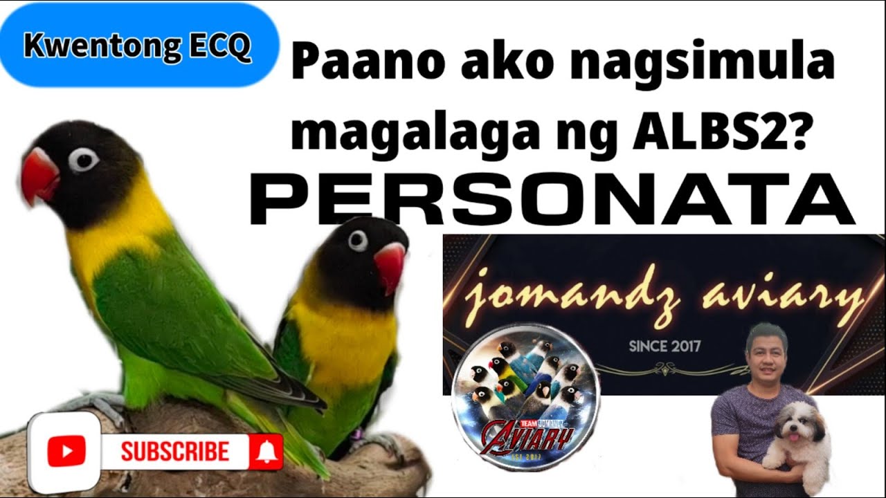 PAANO AKO NAGSIMULA MAG-ALAGA NG ALBS 2 (PERSONATA)? - YouTube