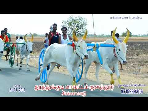 kulathur chinna mattu vandi race (21-07-2019) jawaharstudio - YouTube