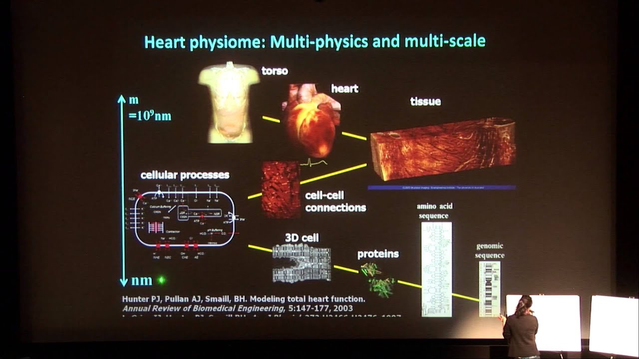The VPH/Physiome Project- Peter Hunter - YouTube