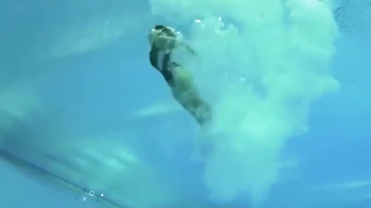 Diving Women 3m European Aquatics Championships Springboard Diving ...