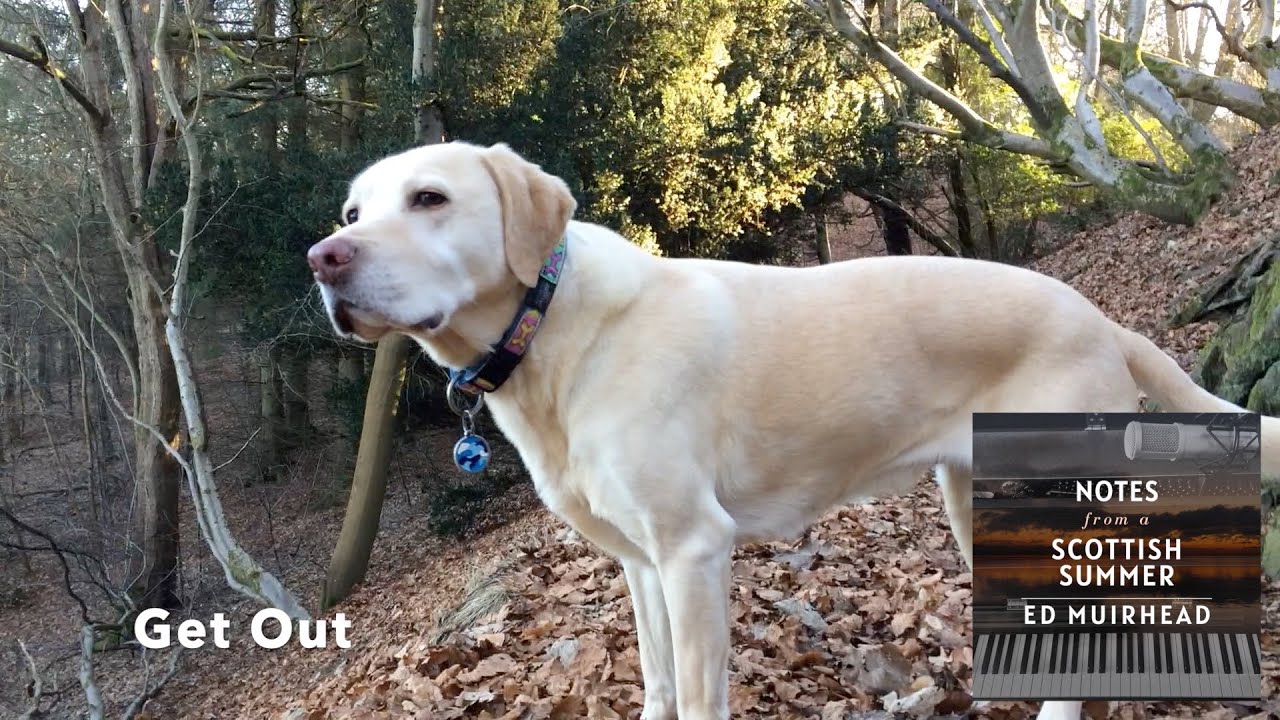 Get Out - Original Piano Music - YouTube