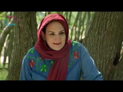 Azad öldü... | Küçük Gelin 82. Bölüm HD