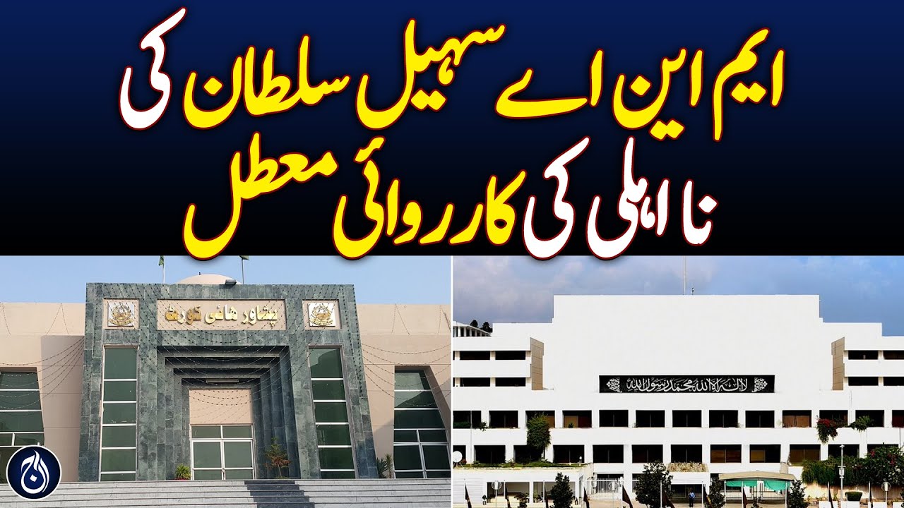 Disqualification proceedings of MNA Sohail Sultan suspended - Aaj News ...