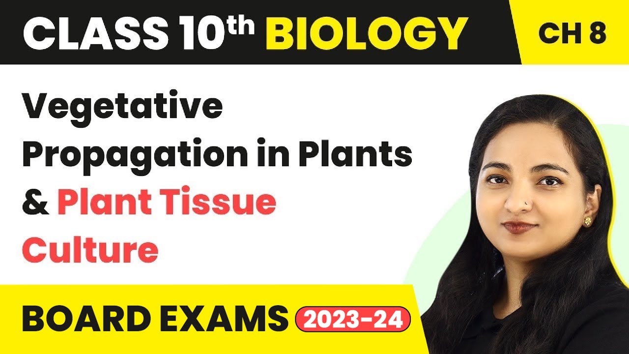 Define Vegetative Propagation Class 10Th at Isaac Oppen blog Define Vegetative Propagation Class 10Th at Isaac Oppen blog