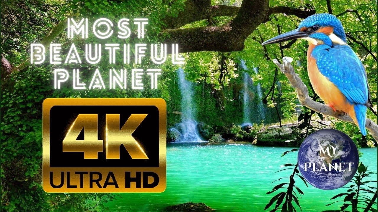 Most Beautiful Planet │My Planet │ 4K Video - YouTube