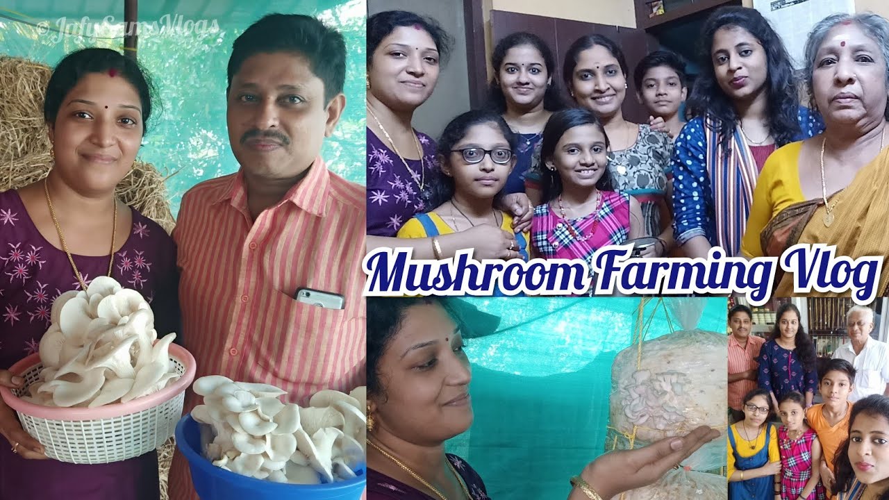 Mushroom Farming || Mushroom Cultivation Tour || Malayalam Vlog ...