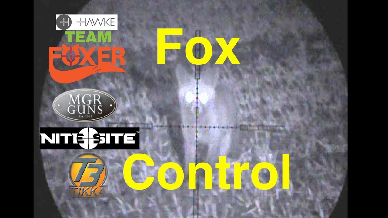 .223 Fox Control with MGR Guns & Team Foxer - YouTube
