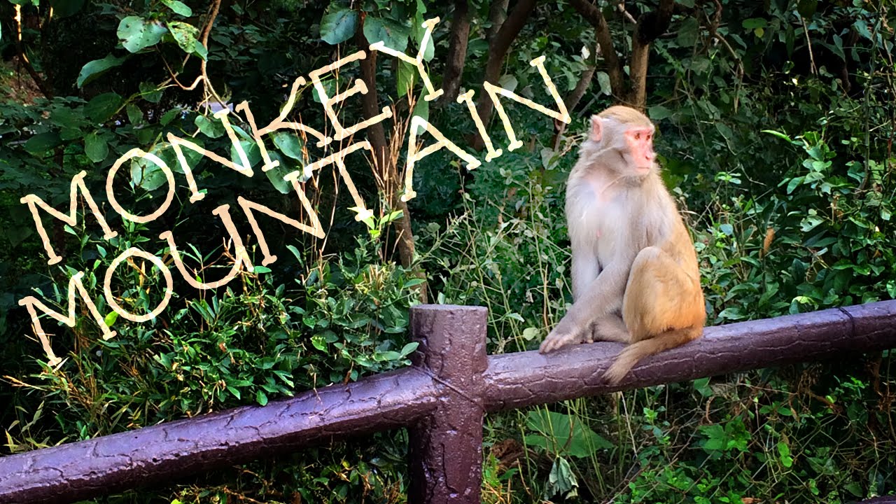Monkey Mountain Hike - Hong Kong (GGH) - YouTube