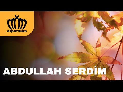 ABDULLAH SERDİM -  FALCI