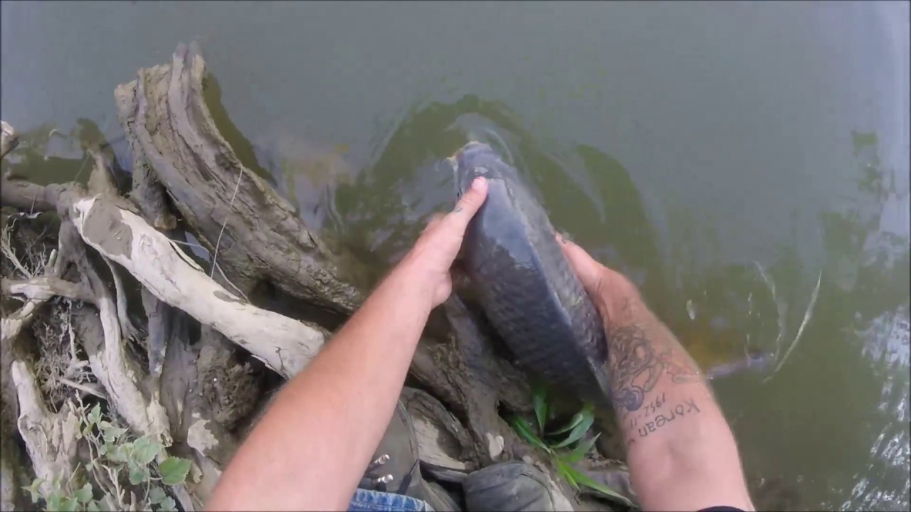 Carp fishing with Doughball Bait - Homemade - YouTube