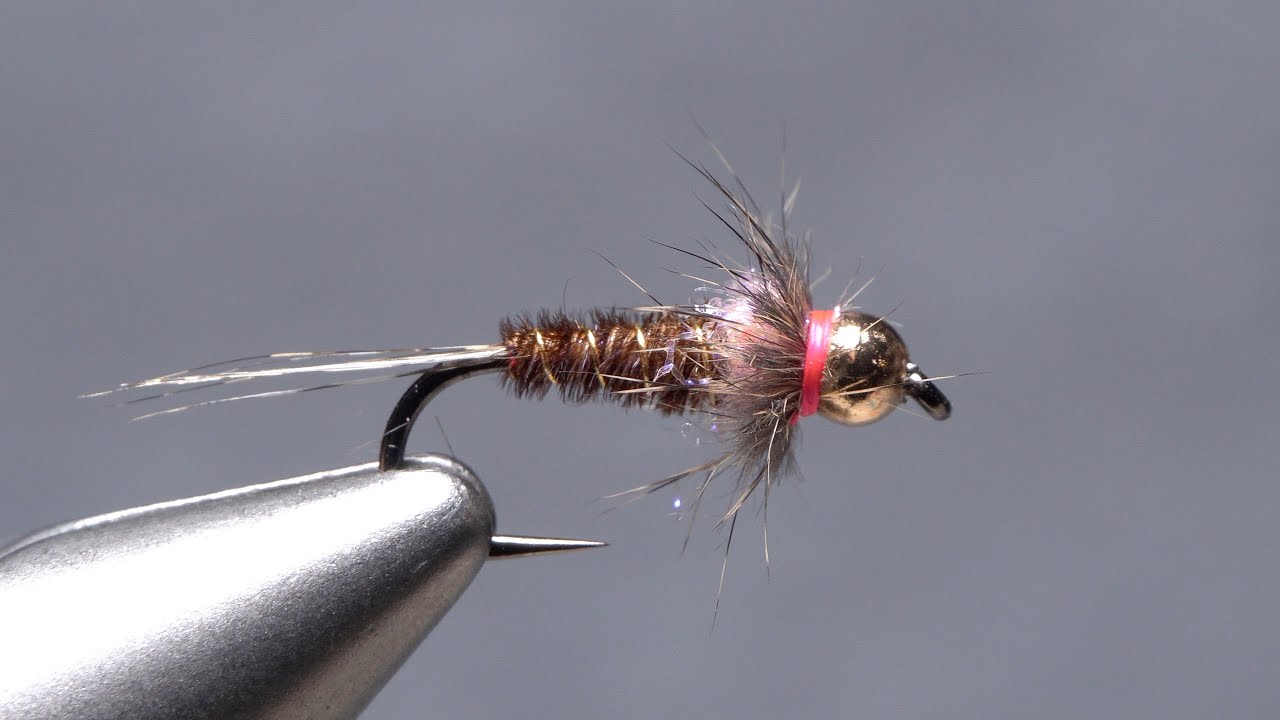 Pine Squirrel Collar - YouTube