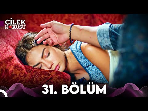 Çilek Kokusu 31. Bölüm (YAZ KLASİKLERİ)