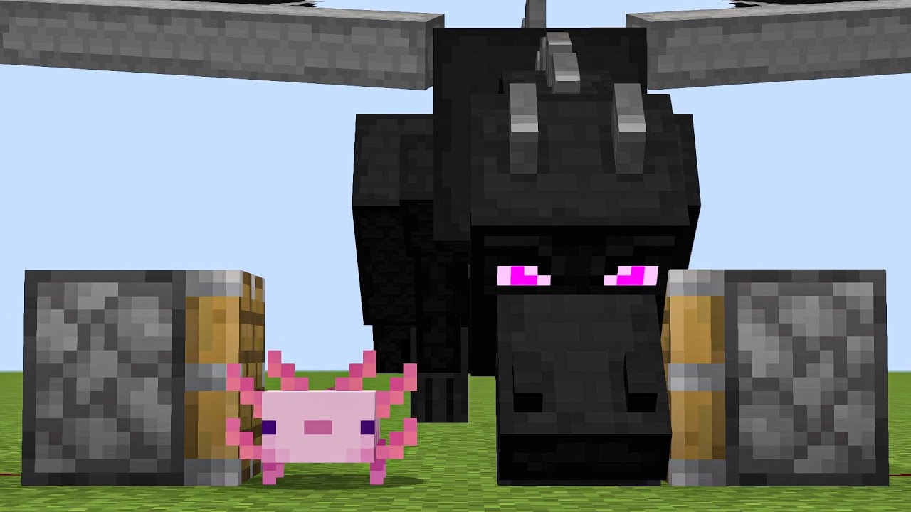 axolotl + ender dragon = ??? - YouTube