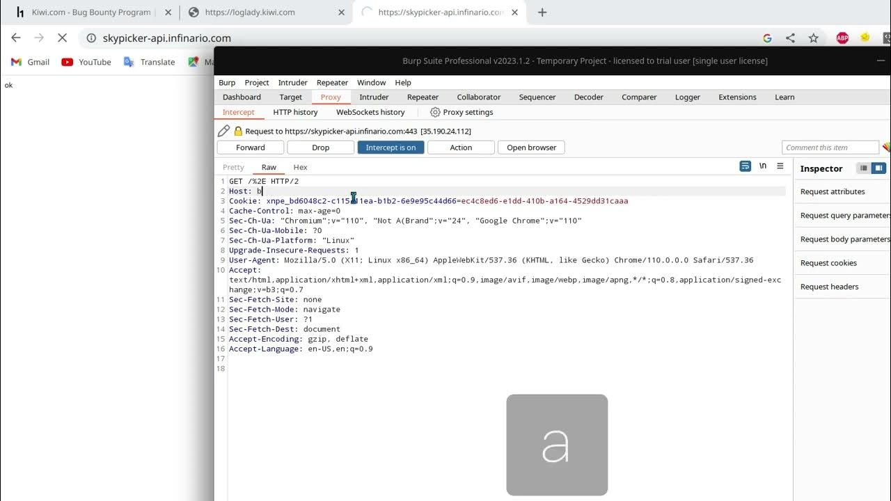open redirect vulnerability on skypicker-api.infinario.com - YouTube
