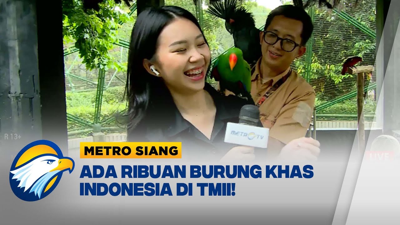 Wisata Seru di Taman Burung TMII, Spot Favorit Semua! - [Metro Siang ...