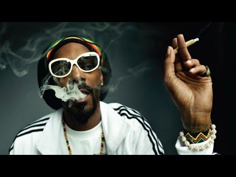 VIDEOS PARA STATUS WHATSAPP * snoop dogg weed *