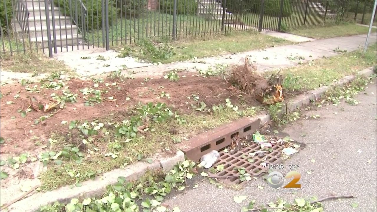 Boy Killed In Newark - YouTube