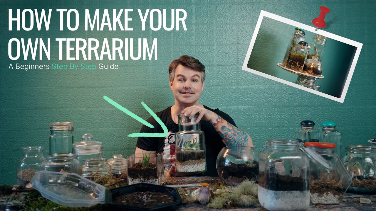 How to Make A Terrarium | A Beginners Guide - YouTube