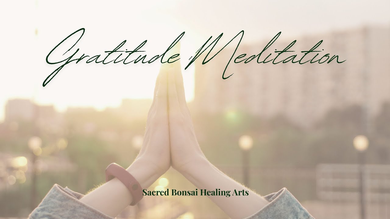 Gratitude Guided Meditation - YouTube