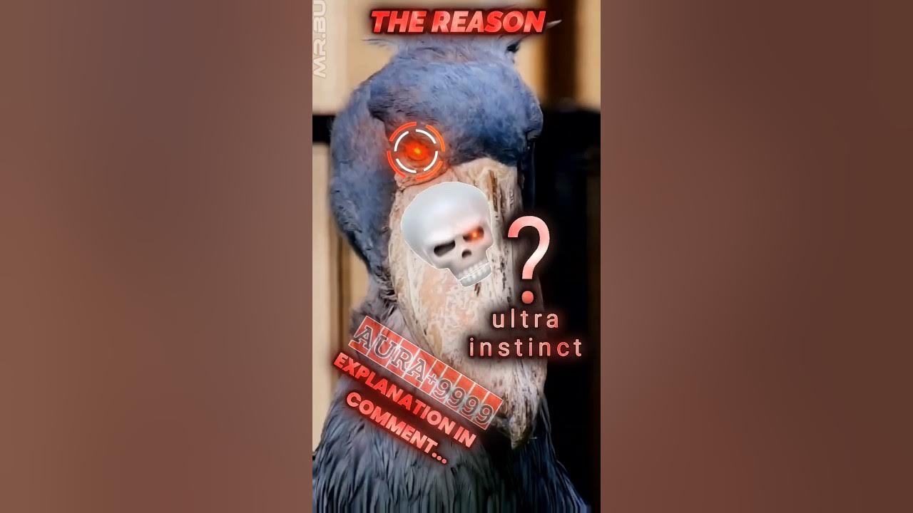 PUT IN 0.25X #trollface #meme#leviathan#trollface #memes #shorts#troll#troll#algorithm - YouTube