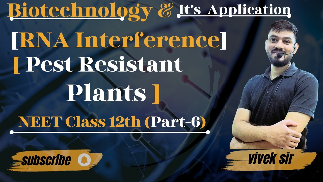 RNA Interference | Pest Resistant Plants | Biotechnology | L6 NEET ...
