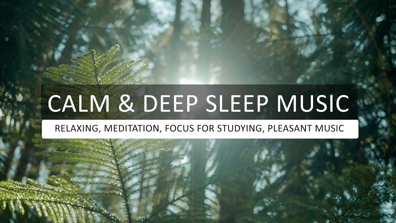 Calm & Deep Sleep Music for relaxation 20 - YouTube
