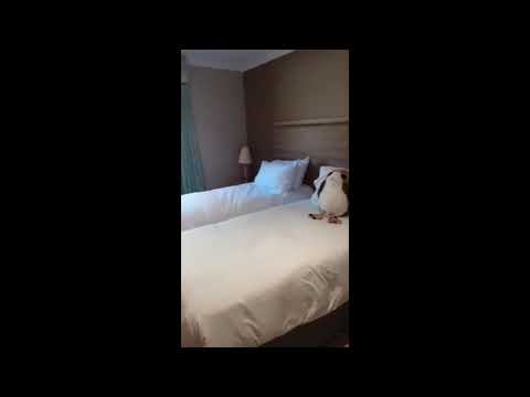 The Doig Clan Summer Getaway 2020 - YouTube