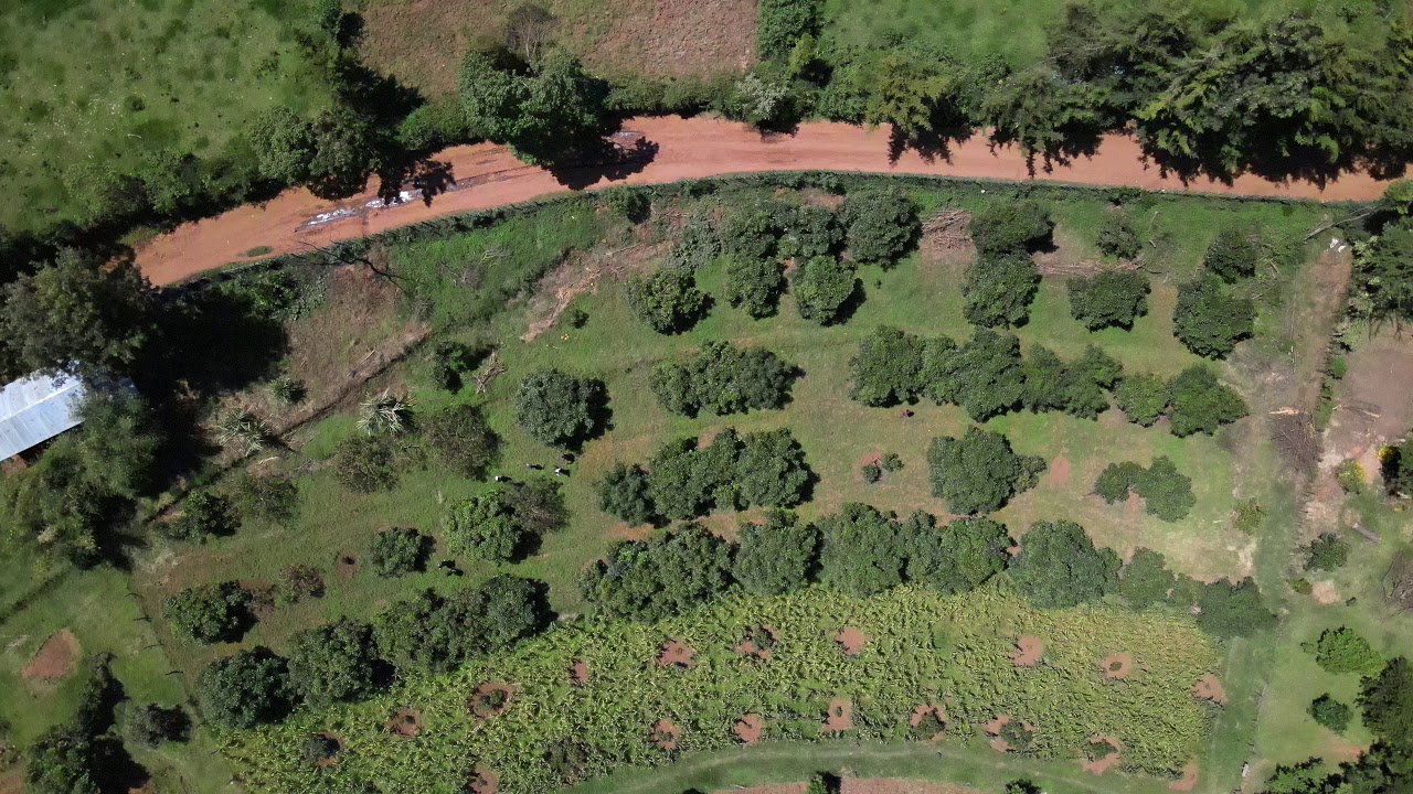 Joseph Kones Farm - YouTube
