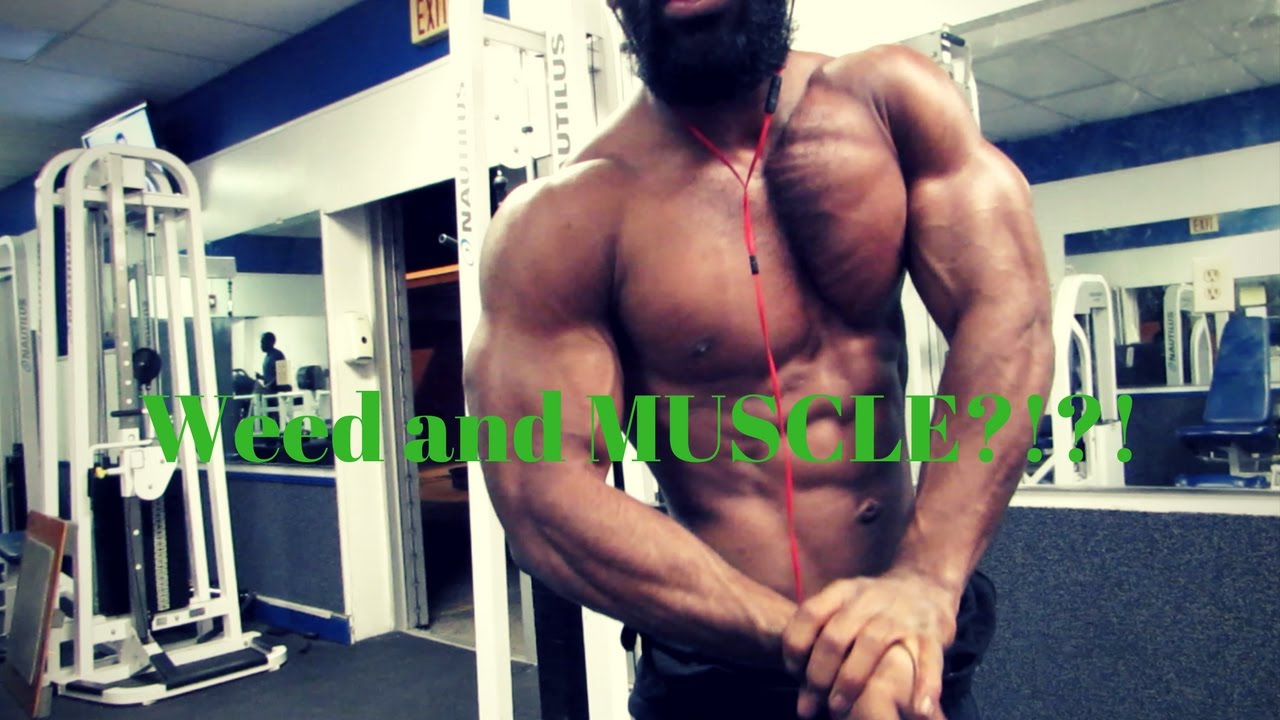 Weed and Muscle! || Chest and back workout ||FIELDZfit - YouTube