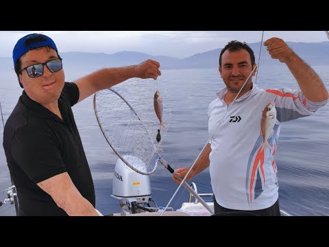 DEVLERE KARŞI YENİK DÜŞTÜK & YEMLİ AVLANMAK İSTEYENLERE UZMANINDAN HAYATİ ÖNERİLER! İSKENDERUN/HATAY