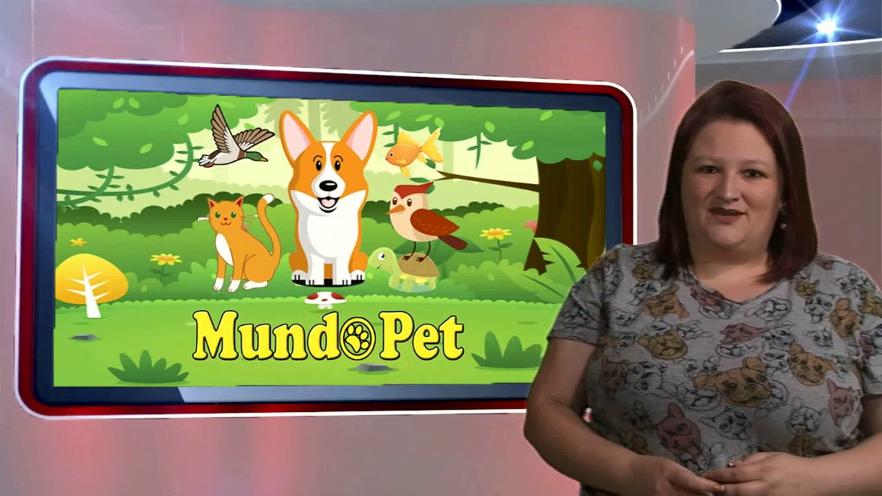 Mundo Pet 17-02-2020 - YouTube