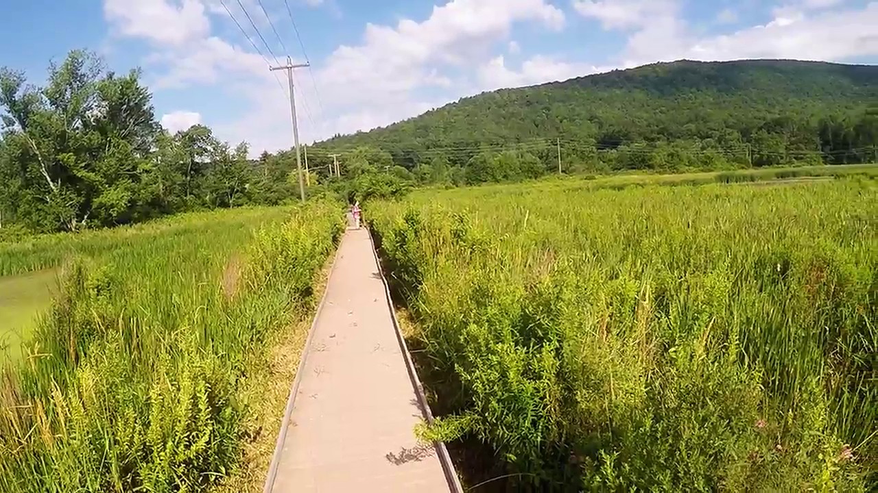 The MUCK wildlife area near Wellsboro PA - YouTube