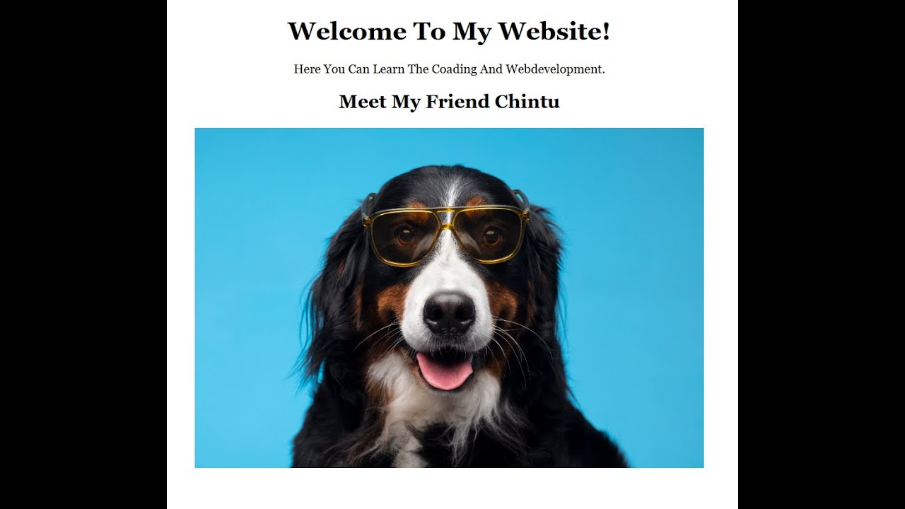 How to Create a Simple Web Page Using HTML & CSS | Beginner Web ...