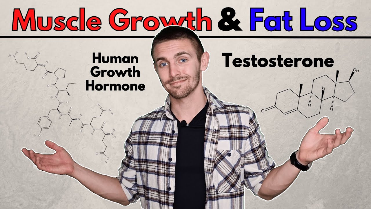 5 Important Hormones for Muscle Growth and Fat Loss | HGH, IGF-1 ...
