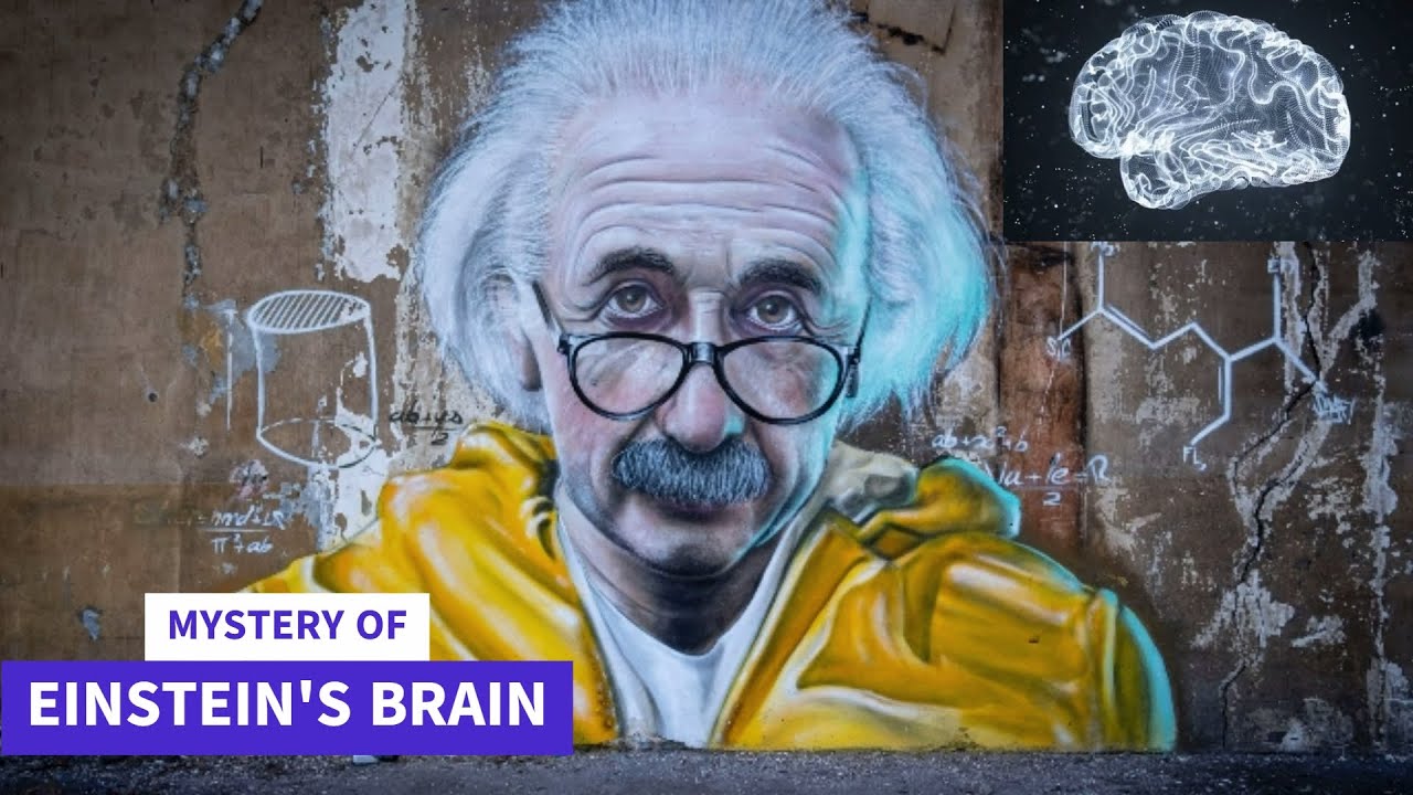 ALBERT EINSTEIN'S BRAIN MYSTERY TELUGU | How Einstein's Brain was Different ? - YouTube