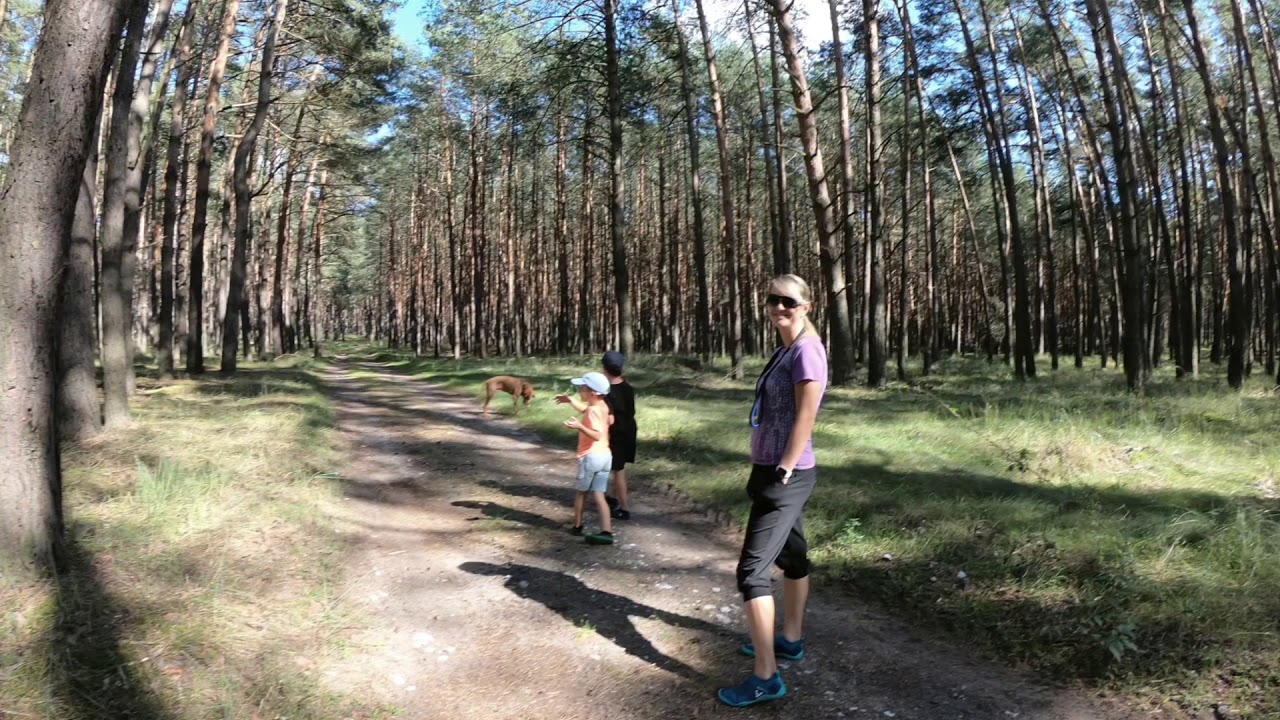 Pieskove duny Zahorie - YouTube