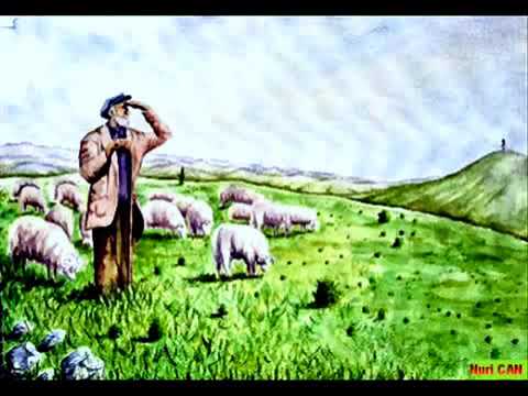 Tü şiwan ez berivanim